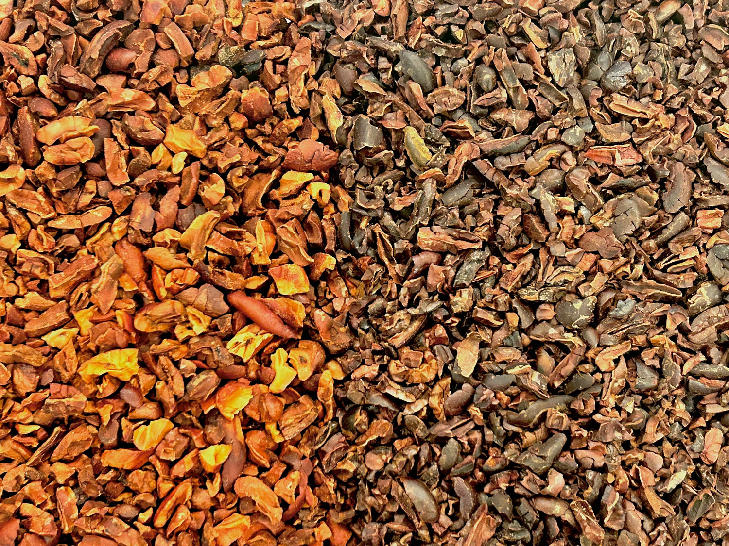 Rare and unusual cocoa beans. – Sirene Chocolate